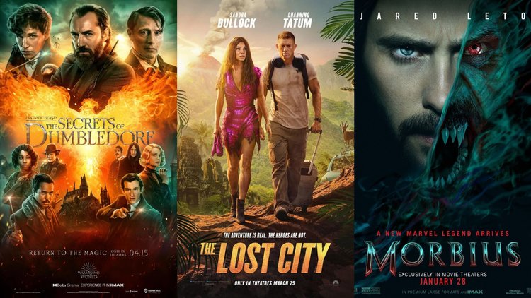 Travis The Analyst Portfolio